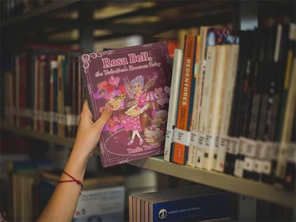 Rosa Bell The Valentine's Romantic Fairy | Teelie Turner Author